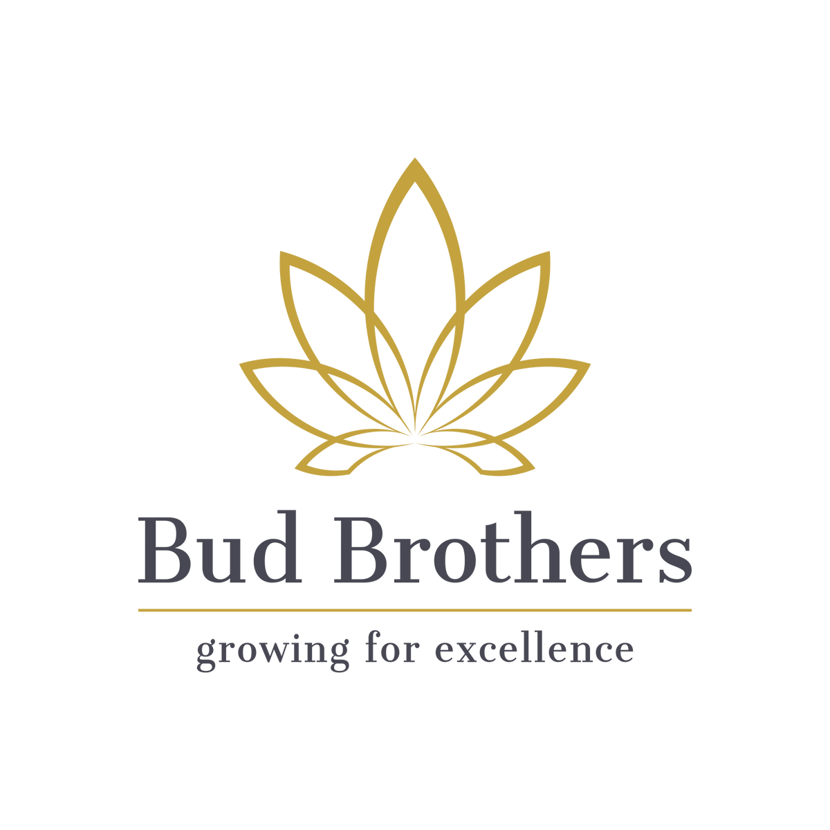 Bud Brothers | Premium CBD-Öl & Cannabis Zubehör Shop